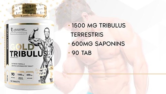 Kevin levrone gold tribulus 1500 mg 90 tabs купити, ціна в Києві та Україні, відгуки ⭐ Mega Mass